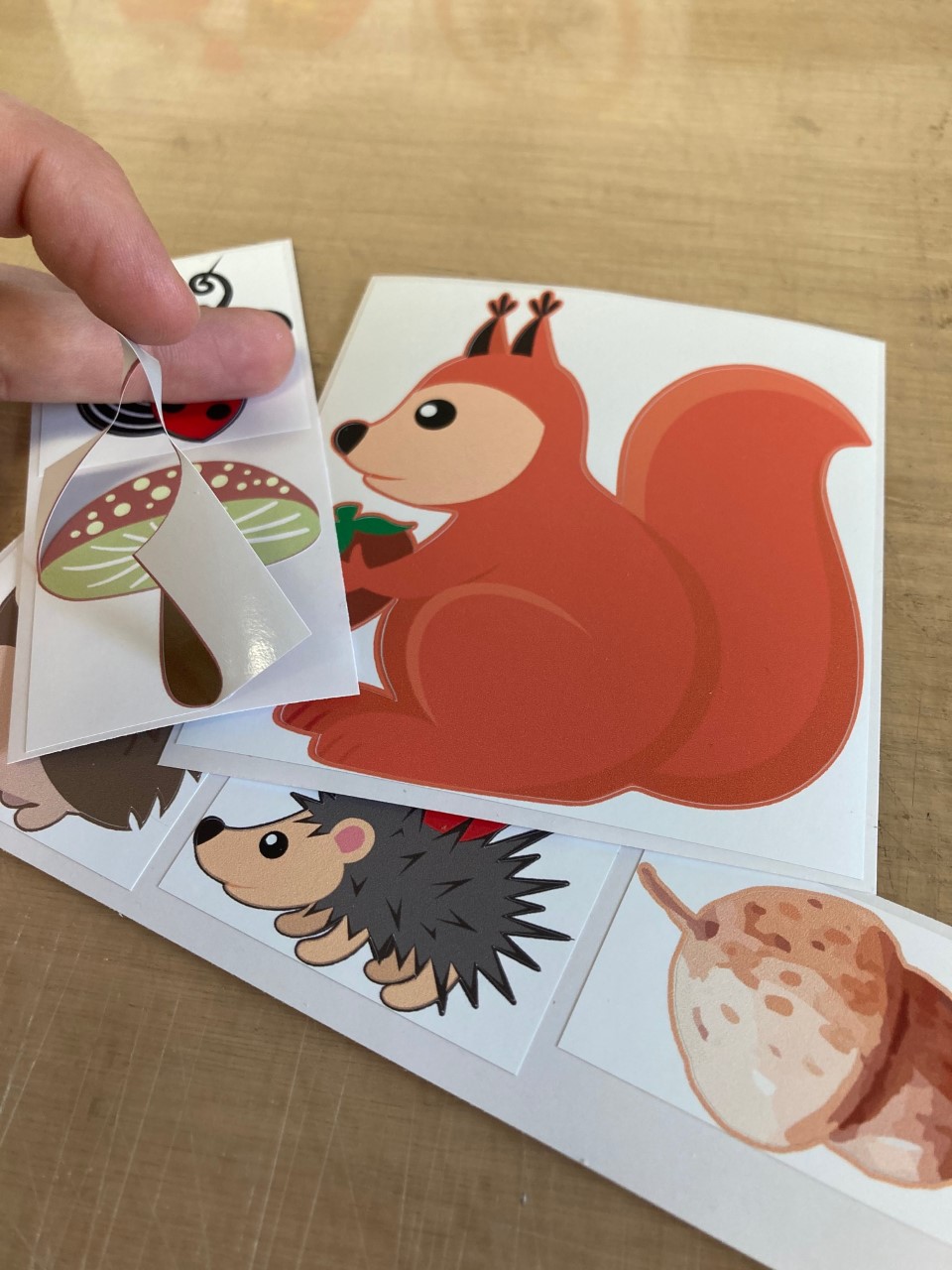 Comment choisir ses stickers - info, conseils - Blog : Le monde du stickers